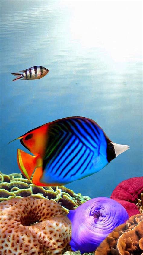 Un enemigo oculto Criaturas marinas bonitas Criaturas del océano