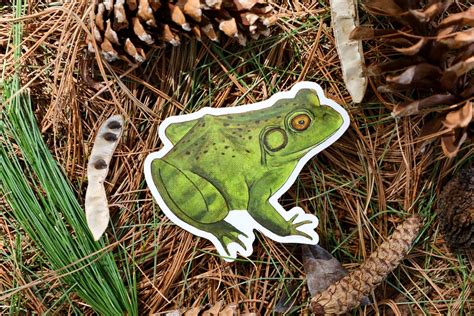 Bullfrog Vinyl Sticker Waterproof Decal Frog Sticker Etsy