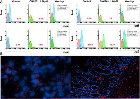 Trail Death Receptor Expression In Dsrct Cell Line In Untreated Cells