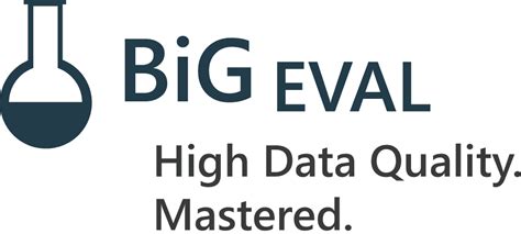Testing In An Automated Data Warehouse Project BiG EVAL