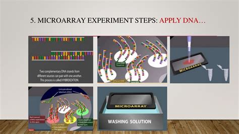 Ppt Microarray Gene Expression Analysis Powerpoint Presentation Free