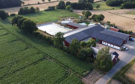 An Ancient Fish With A Bright Future The Fish Site