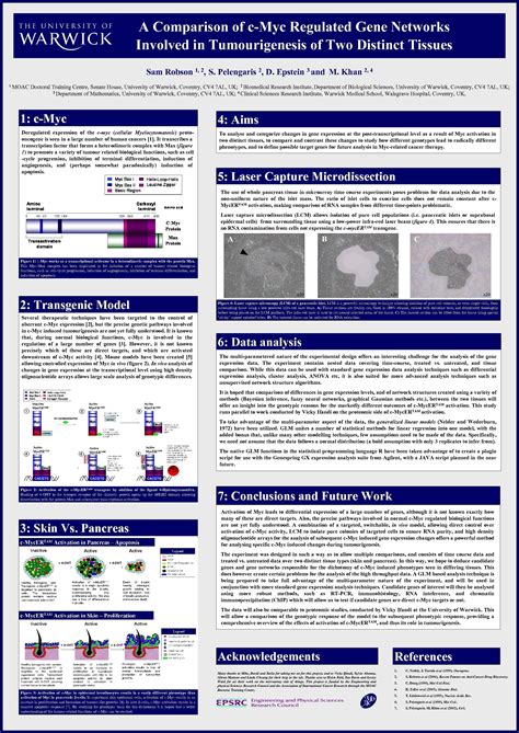 A Comparison Of C Myc Regulated Gene Networks Involved