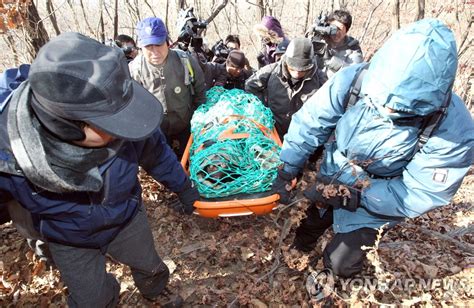 말레이곰 꼬마 수송 작전 연합뉴스