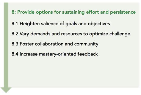 Guidelines UDL For Teachers