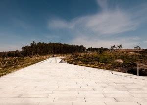 De Lemos wine showroom by Carvalho Araújo