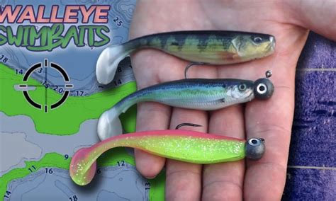 Swimbait Walleye Breakdown Post Spawn Thru Early Summer Target Walleye