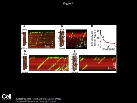 Volume 138, Issue 6, Pages (September 2009) - ppt download