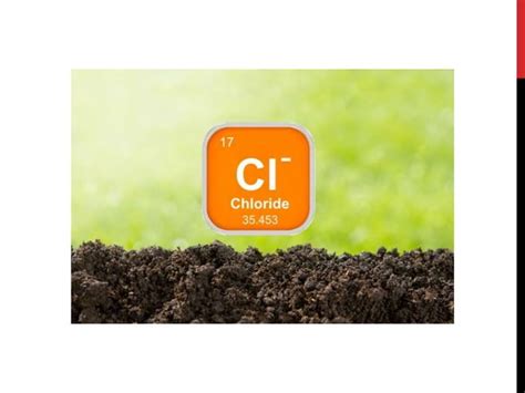 Sodium Potassium And Chloride Ppt