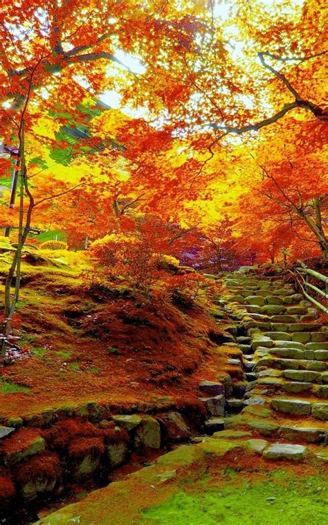 Fondos De Pantalla Para Laptops Pinterest ~ Otoño Fondos De Pantalla