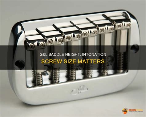 Gandl Saddle Height Intonation Screw Size Matters Shuntool