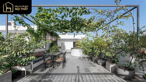 Trồng Cây Trên Sân Thượng đem đến Lợi ích Gì