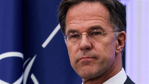 Elon Musk Slams Dutch Pm Mark Rutte Over Long Term Financial Aid To
