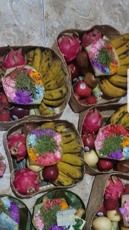 Buah Pajegan