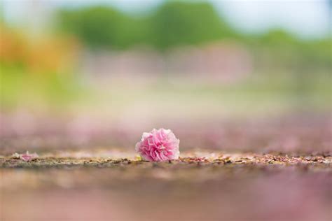 「運命の赤い糸」の画像 970 件の Stock 写真、ベクターおよびビデオ Adobe Stock