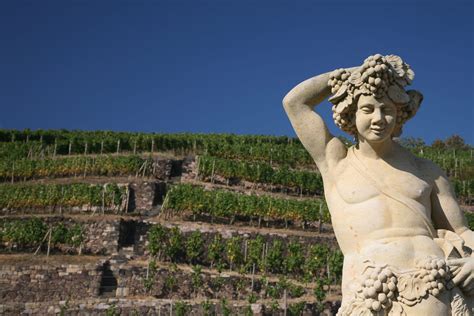 Los 15 Dioses Griegos Más Importantes De Afrodita A Zeus