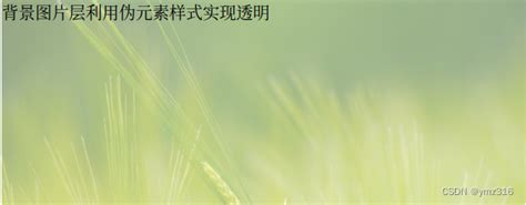 Css实现背景图片透明文字不透明效果的两种方法css背景透明度不影响文字 Csdn博客