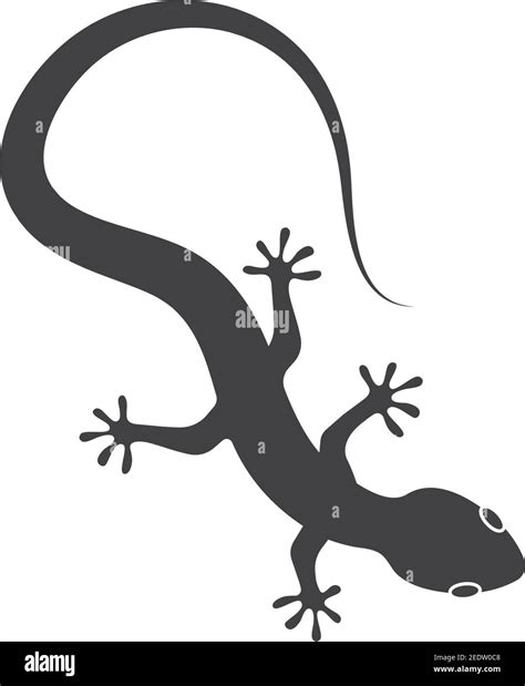 Gecko Template Anacetoz