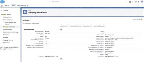 How To Get Salesforce Organization And User Id Mulesoft Help Center