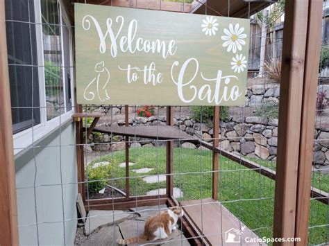 Easy Homemade Cat Enclosure Plans