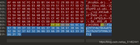 Buuctf Misc 乌镇峰会种图buuctf 乌镇峰 Csdn博客