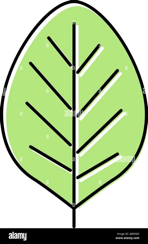 Teak Leaf Color Icon Vector Illustration Stock Vector Image And Art Alamy