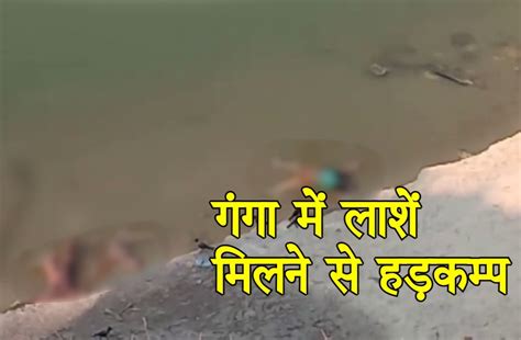 Video गाजीपुर में गंगा गंगा में तैरती मिलीं दर्जनों लाशें Dead Bodies