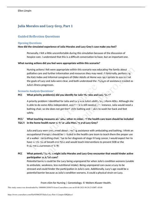 Julia Morales And Lucy Grey Part 1 Guided Reflection Questions Julia Morales And Lucy Grey