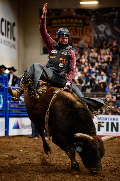 Bull Riding