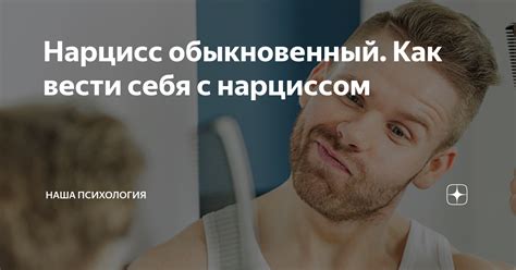 Нарцисс обыкновенный Как вести себя с нарциссом Наша Психология Дзен