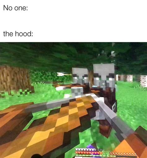 The Pillagers Are Fucking Up My Entire Minecraft World Rdankmemes