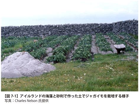 知られざる「nasaの苦悩」…「人類」の「地球外進出」に立ちはだかるのは「壁」…ではなく、なんと「土」という「衝撃の事実」！（藤井 一至