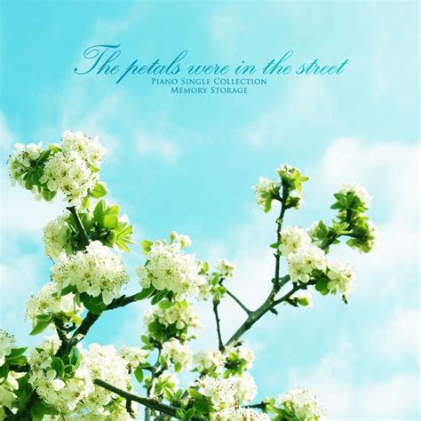 추억보관소 꽃잎이 휘날리는 거리에서 [digital Single] 2016
