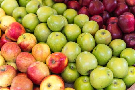 Jesse12357appleclassification At Main