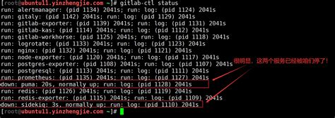 Gitlab的数据备份和恢复 尹正杰 博客园