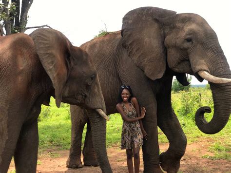 An Introduction To Ibis For Python Programmers Towards Data Science