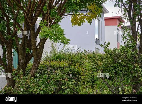 Architectural Details And Lush Garden Scenery In West Kópavogur 50s