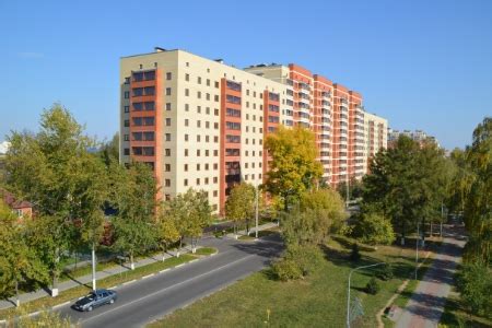 В городском округе Домодедово прошла лыжня Главы — Сайт города Домодедово