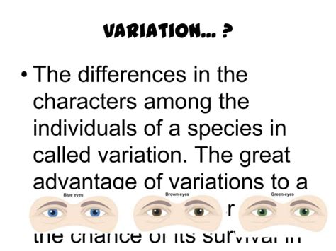 Heredity And Evolution Ppt