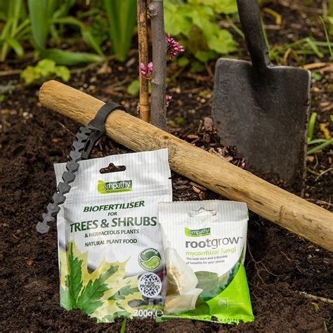 Buy Premium Tree Planting Kit With Softwood Stake