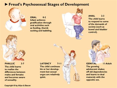 Sigmund Freud Theory Of Psychosexual Development