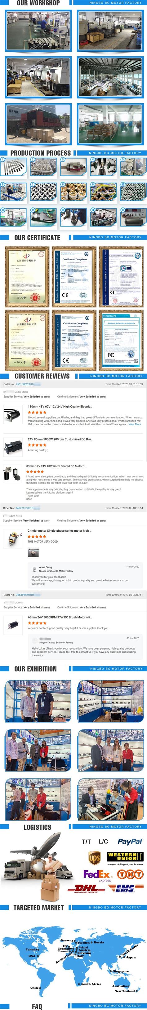 Mm BLDC High Quality China Bg BLDC Mini Explosion Proof W High Torque Rpm Brushless DC