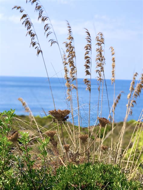 Pantelleria, la perla nera - Sail SicilyAway - Vancanze in vela ...
