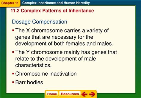 Ppt Section 1 Basic Patterns Of Human Inheritance Powerpoint
