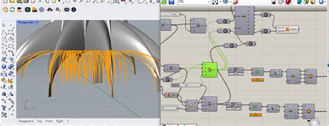 Parametric Curve Form To Surface Grasshopper McNeel Forum