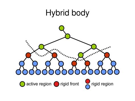 Ppt Adaptive Dynamics For Articulated Bodies Powerpoint Presentation