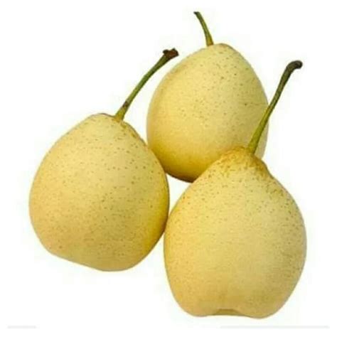 Jual Buah Pir Pear Kuning 500 Gr Gerobak Sayur Palembang Shopee
