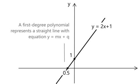 Polynomials Explained Easy Guide With Examples And Tricks