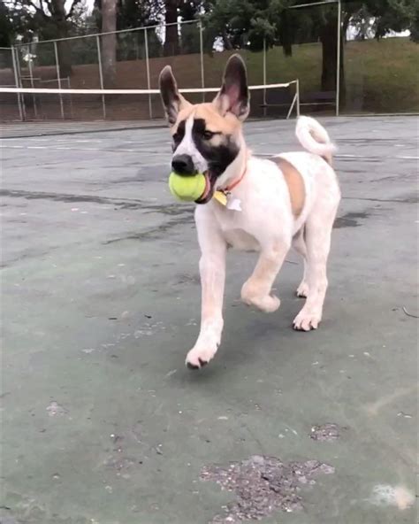 Little Luna Loo Home Facebook