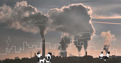 Your Guide To Tackling Air Pollution Fluent Health